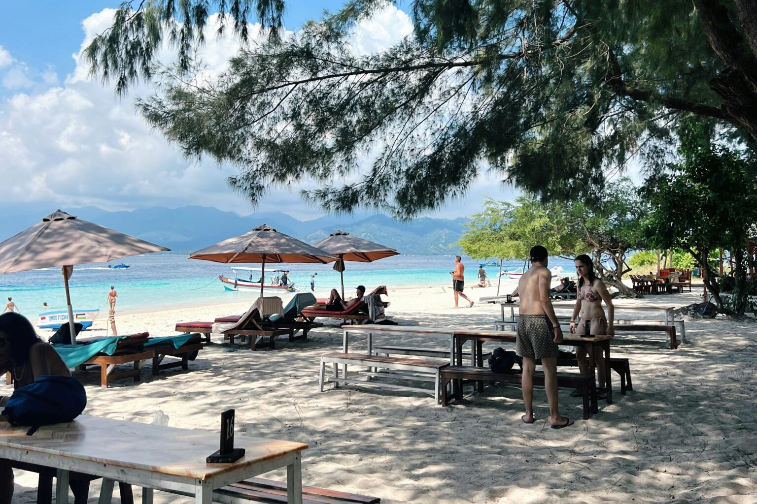 Disaster-Resilient Tourism in Lombok: West Nusa Tenggara Government ...